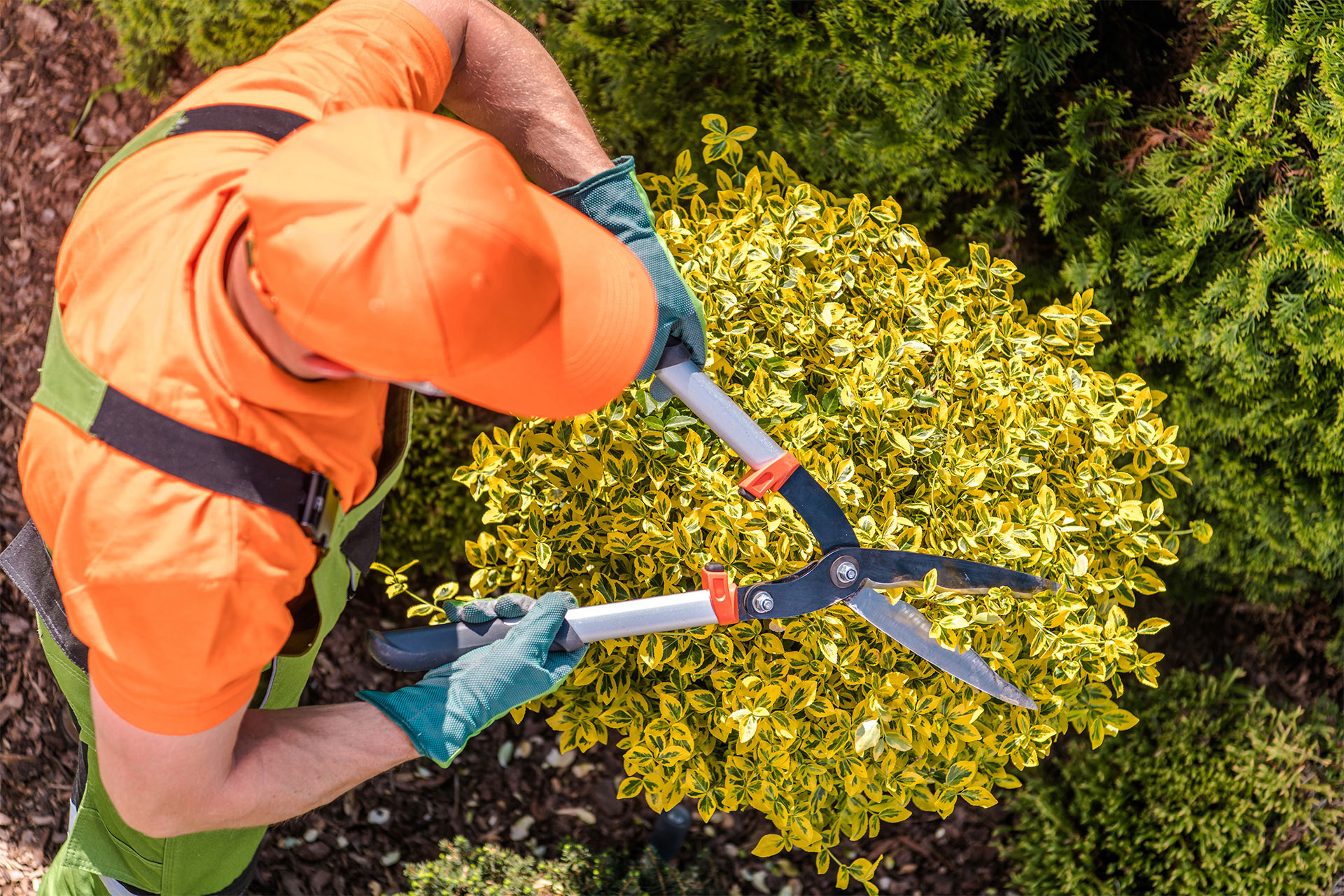 Home - MP Landscaping
