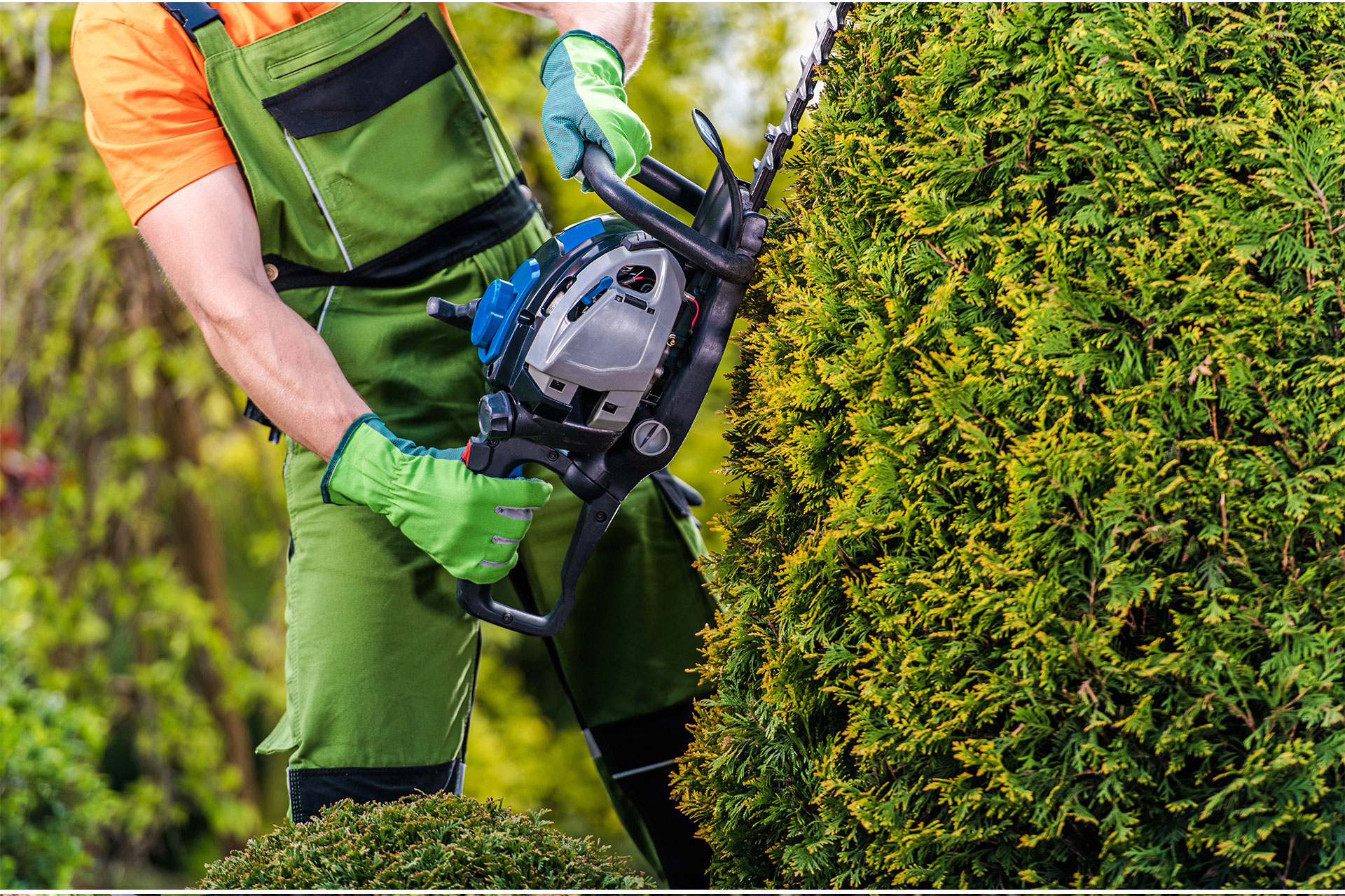 Home - MP Landscaping